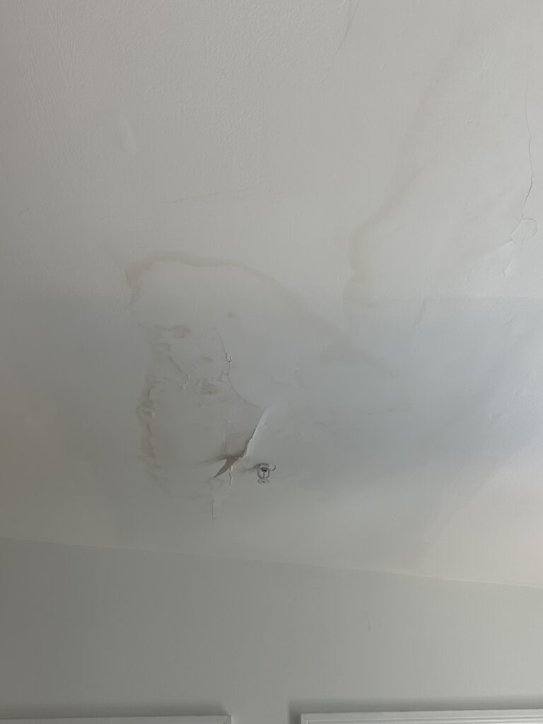 Water & Mold Restoration vs. Remediation: The Differences